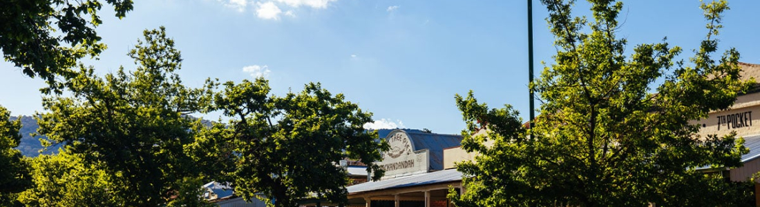 NDIS participant experience in rural, regional and remote Australia ...